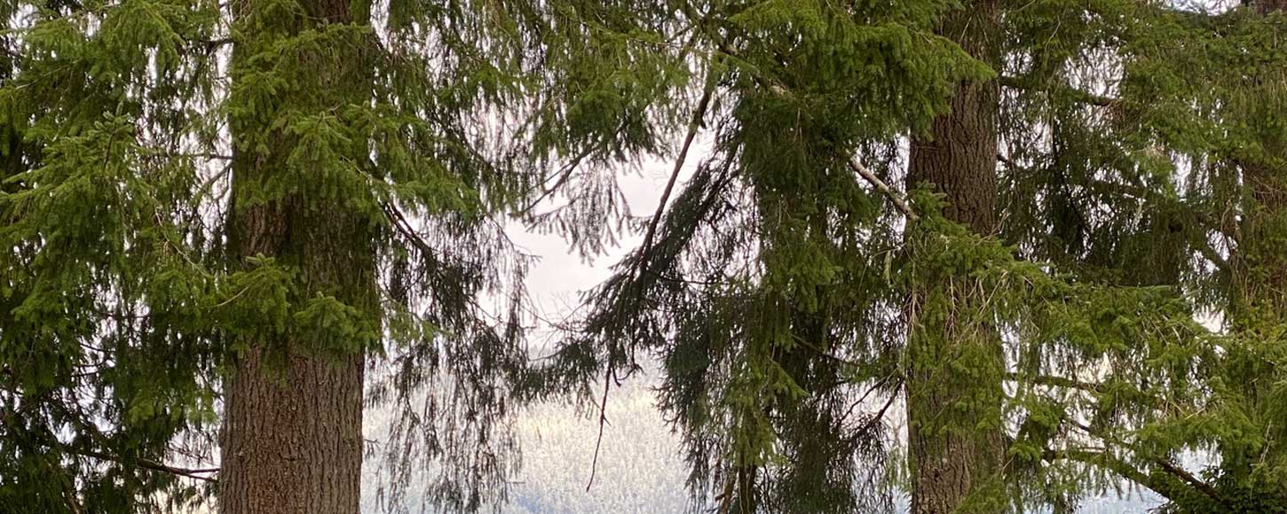 Three Haiku and a Blessing – Gale Leadership Development