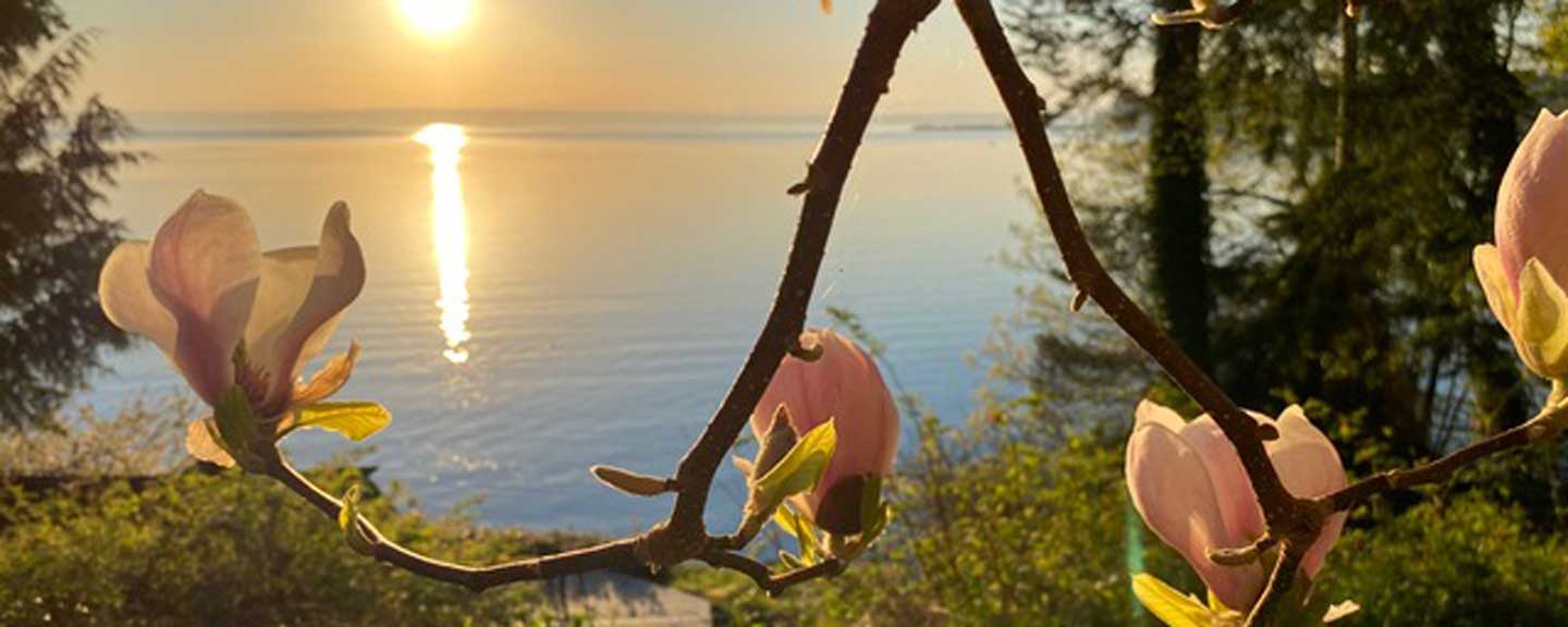 Blessing for the Blossoming – Gale Leadership Development