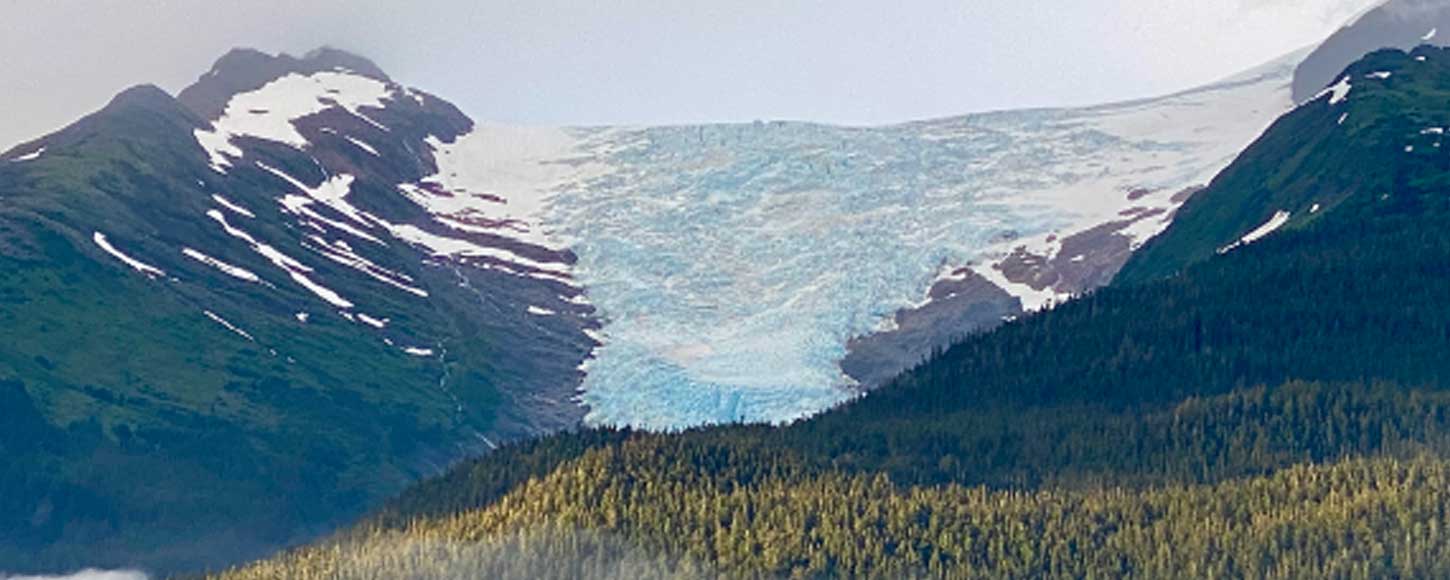 Certainty in a Sea of Chaos – Gale Leadership Development