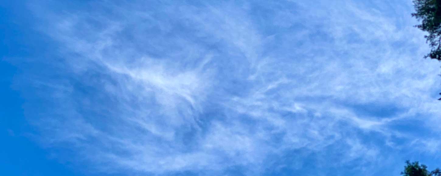 The Future that Brings You Alive – Gale Leadership Development