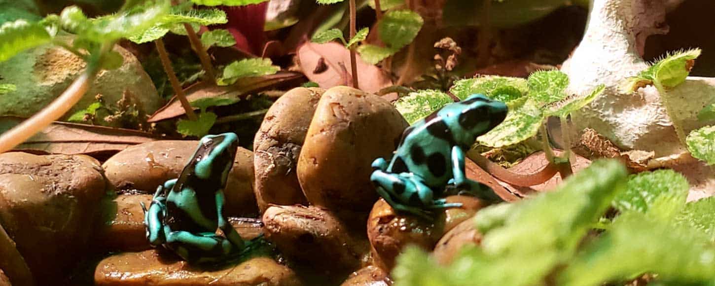 What is Transformation? – Gale Leadership Development