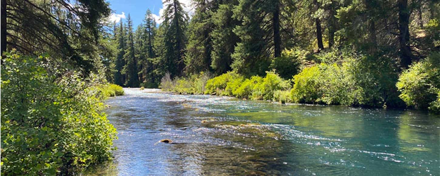 Flowing with Nature’s Current – Gale Leadership Development